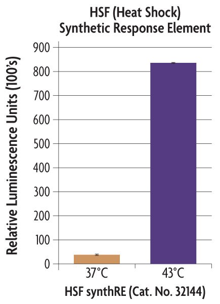 LightSwitch™ Synthetic Response Elements | Proteintech