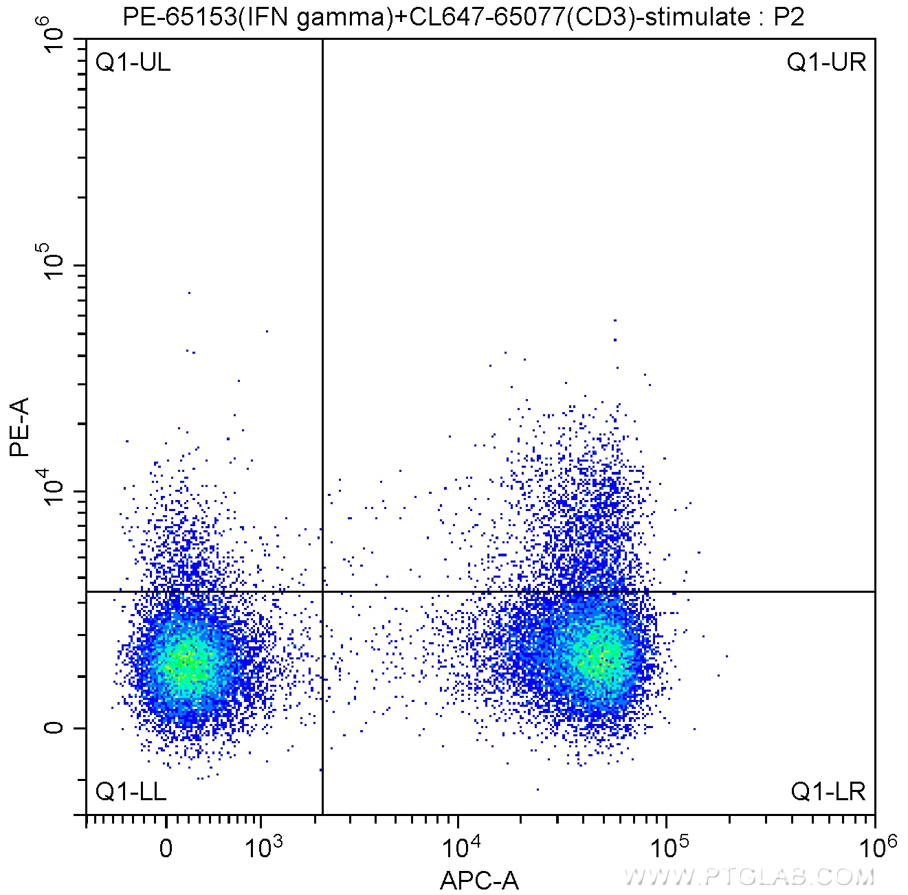 PE IFN gamma Rat Monoclonal antibody - United Bio Research