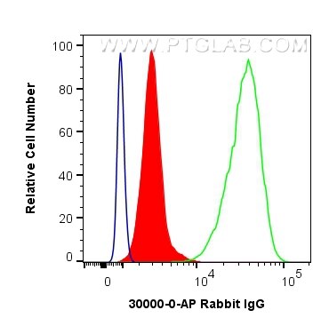 Rabbit IgG control antibody (30000-0-AP) | Proteintech