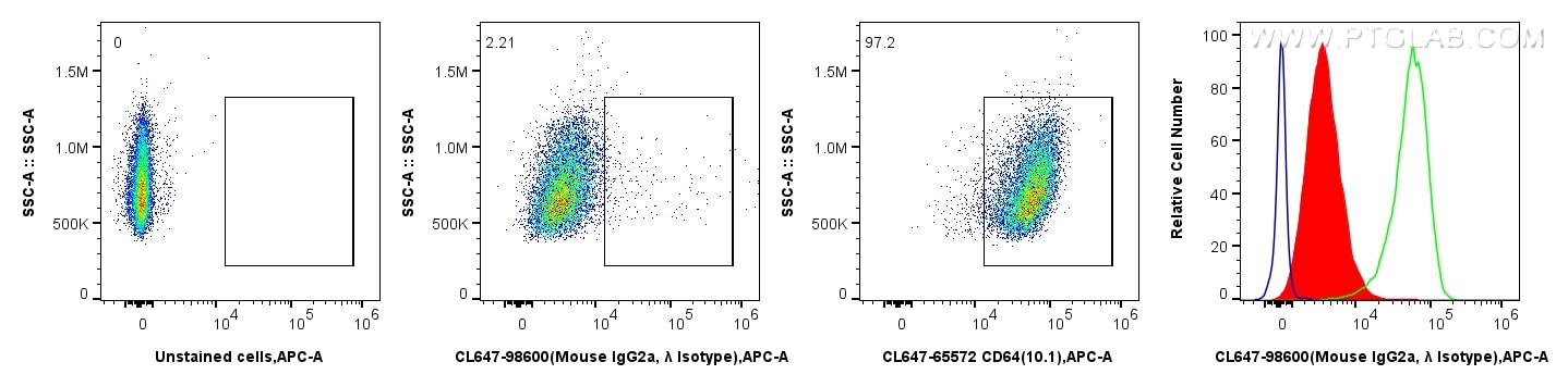IgG2a, λ Isotype Control antibody (CL647-98600) | Proteintech