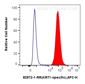 KRT1-specific antibody (82972-1-RR) | Proteintech