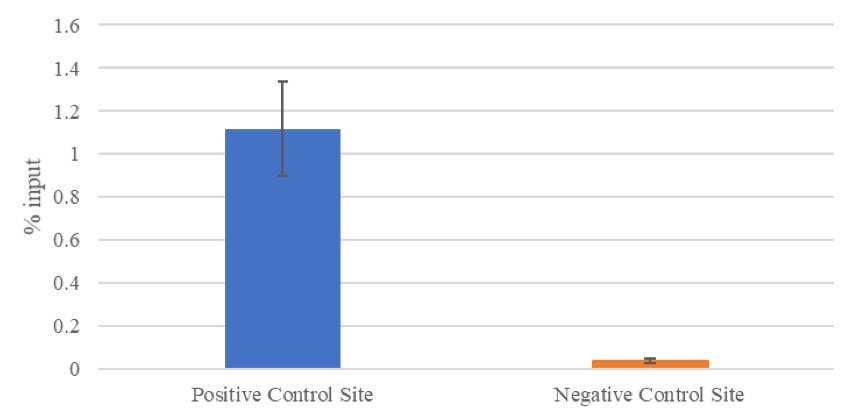 Low Cell ChIP-Seq Optimization Module | Proteintech