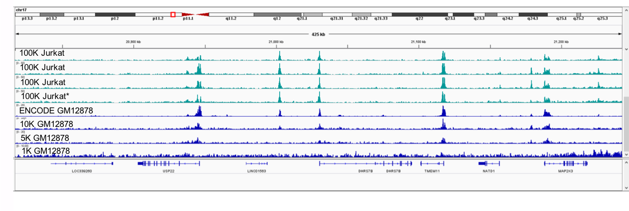 Low Cell ChIP-Seq Optimization Module | Proteintech Low Cell ChIP-Seq Optimization Module | Proteintech
