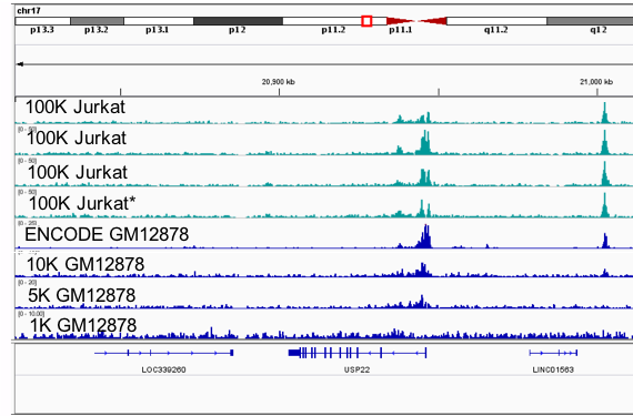Low Cell ChIP-Seq Optimization Module | Proteintech Low Cell ChIP-Seq Optimization Module | Proteintech