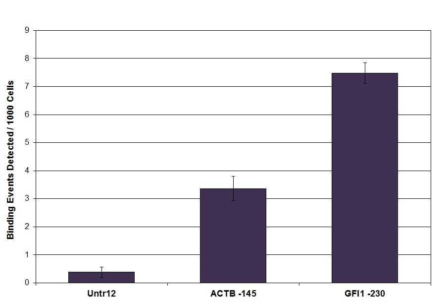 LSD1 / KDM1A antibody (pAb) | Proteintech