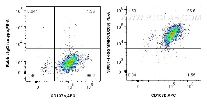 CD206 antibody (98031-1-RR) | Proteintech