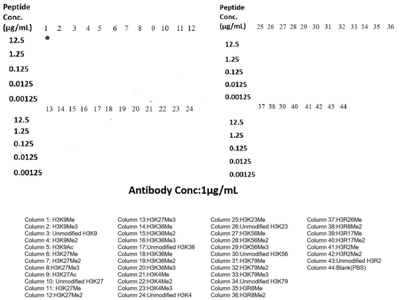 Mono-Methyl-Histone H3 (Lys9) antibody (82821-6-PBS) | Proteintech