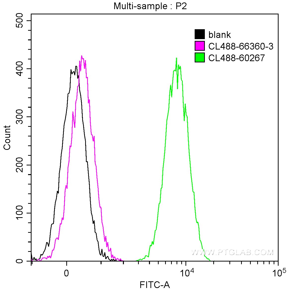 Mouse IgG2b isotype control antibody (CL488-66360-3) | Proteintech