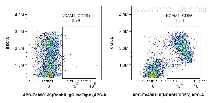 NCAM1/CD56 antibody (APC-FcA98118) | Proteintech