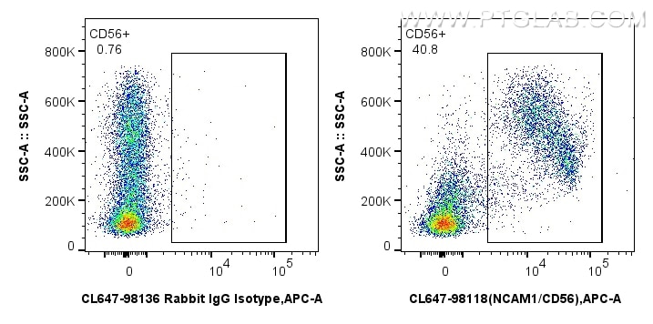 NCAM1/CD56 antibody (CL647-98118) | Proteintech
