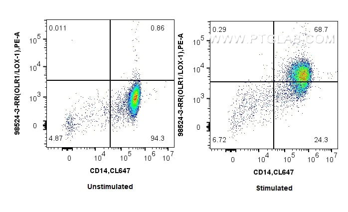 OLR1/LOX1 antibody (98524-3-RR) | Proteintech