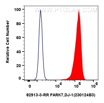 PARK7/DJ-1 antibody (82913-3-RR) | Proteintech
