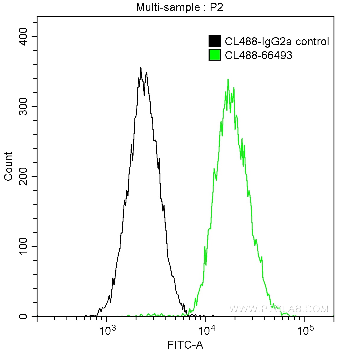 PKC Iota antibody (CL488-66493) | Proteintech