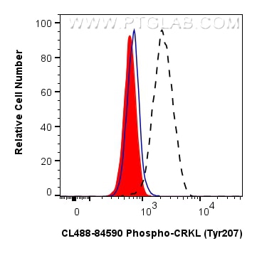 Phospho-CRKL (Tyr207) antibody (CL488-84590) | Proteintech