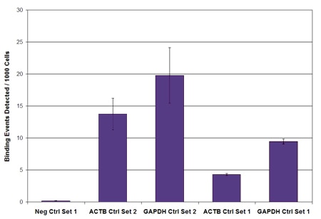 RNA pol II CTD phospho Ser2 antibody (mAb) (Clone 3E10) | Proteintech