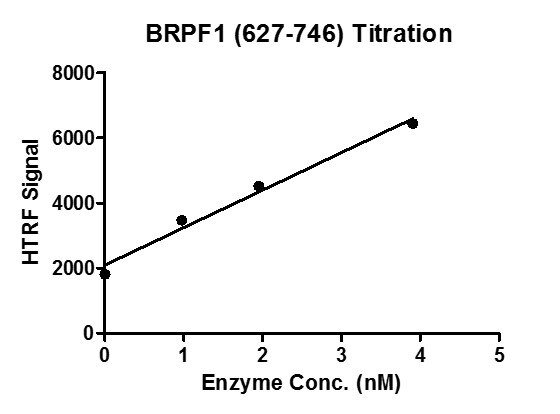 Recombinant BRPF1 (627-746) protein | Proteintech