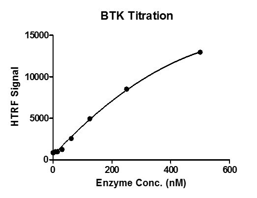 Recombinant BTK protein | Proteintech