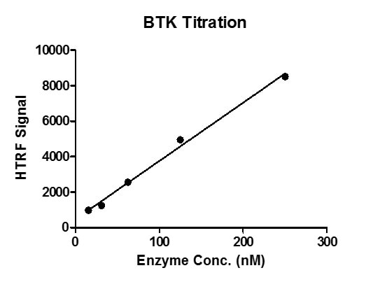 Recombinant BTK protein | Proteintech