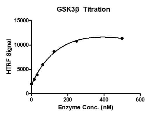 Recombinant GSK3b protein | Proteintech