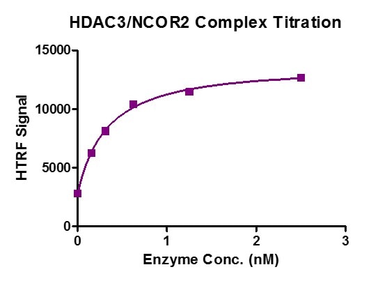 Recombinant HDAC3 / NCOR2 complex, His-Tag | Proteintech