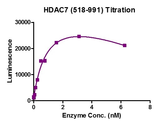 Recombinant HDAC7 (518-991) protein | Proteintech