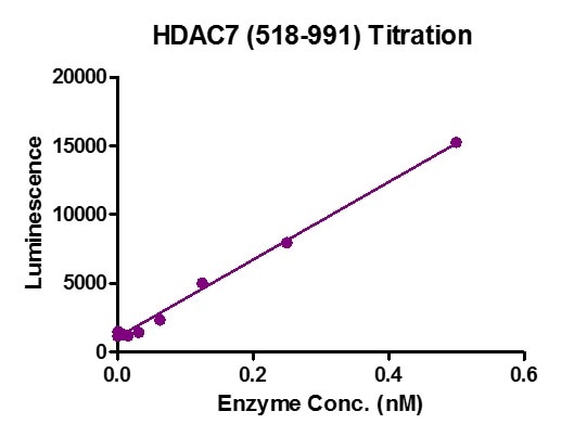Recombinant HDAC7 (518-991) protein | Proteintech