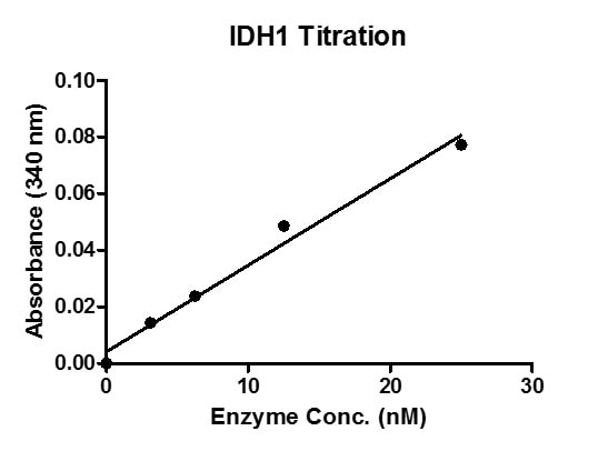 Recombinant IDH1 protein | Proteintech