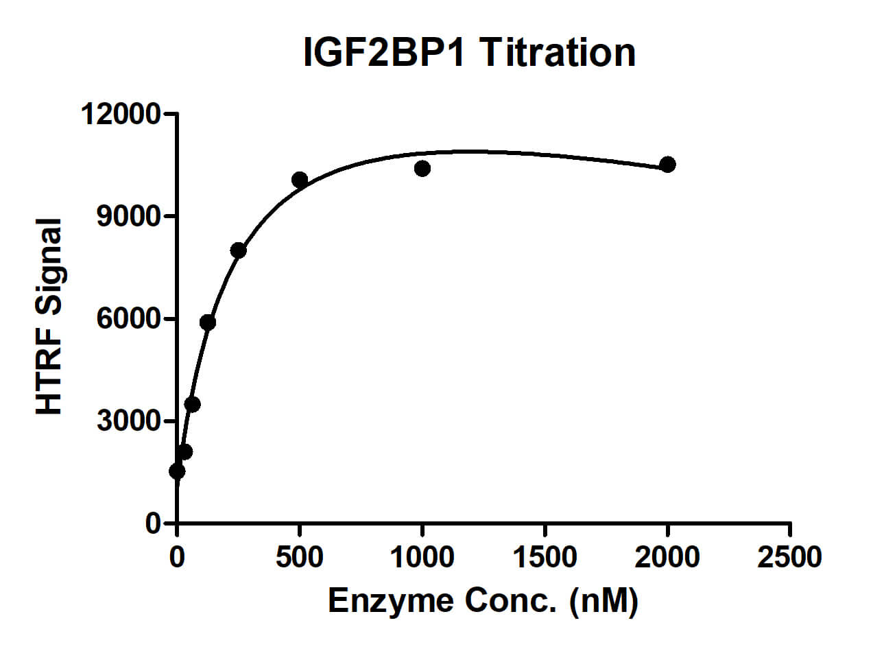 Recombinant IGF2BP1 protein | Proteintech