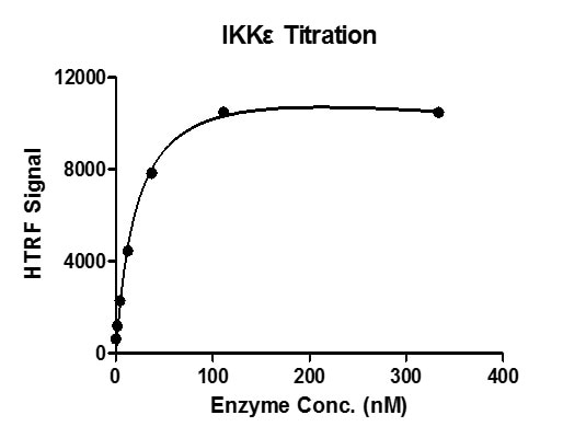 Recombinant IKKe protein | Proteintech