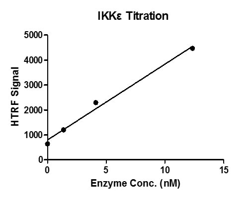 Recombinant IKKe protein | Proteintech