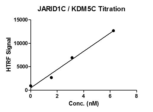 Recombinant JARID1C / KDM5C protein | Proteintech