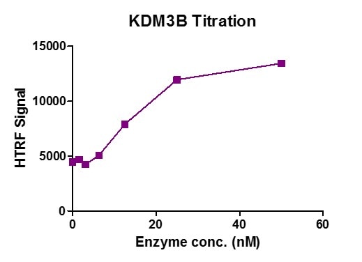 Recombinant JMJD1B / KDM3B protein | Proteintech