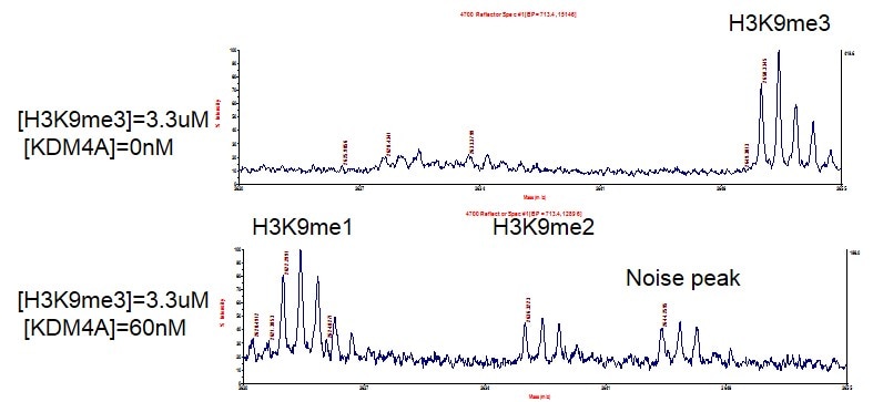 Recombinant JMJD2A / KDM4A protein | Proteintech