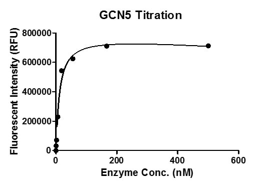 Recombinant KAT2A (GCN5) protein | Proteintech