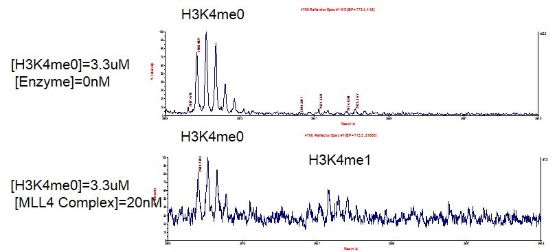 Recombinant KMT2B (MLL4) complex | Proteintech