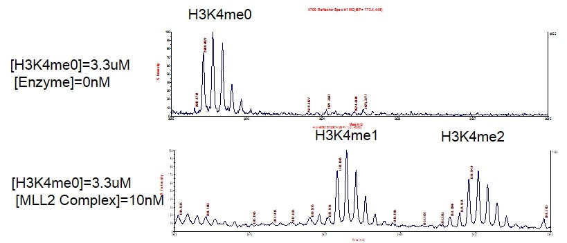 Recombinant KMT2D (MLL2) complex | Proteintech
