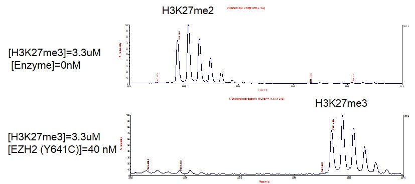 Recombinant PRC2 EZH2 (Y641C) complex | Proteintech