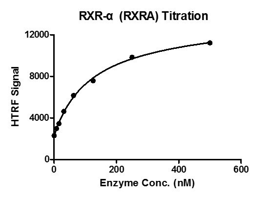 Recombinant RXR-alpha (RXRA) protein | Proteintech