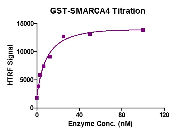 Recombinant SMARCA4 / BRG1 (1448-1569), GST-Tag | Proteintech