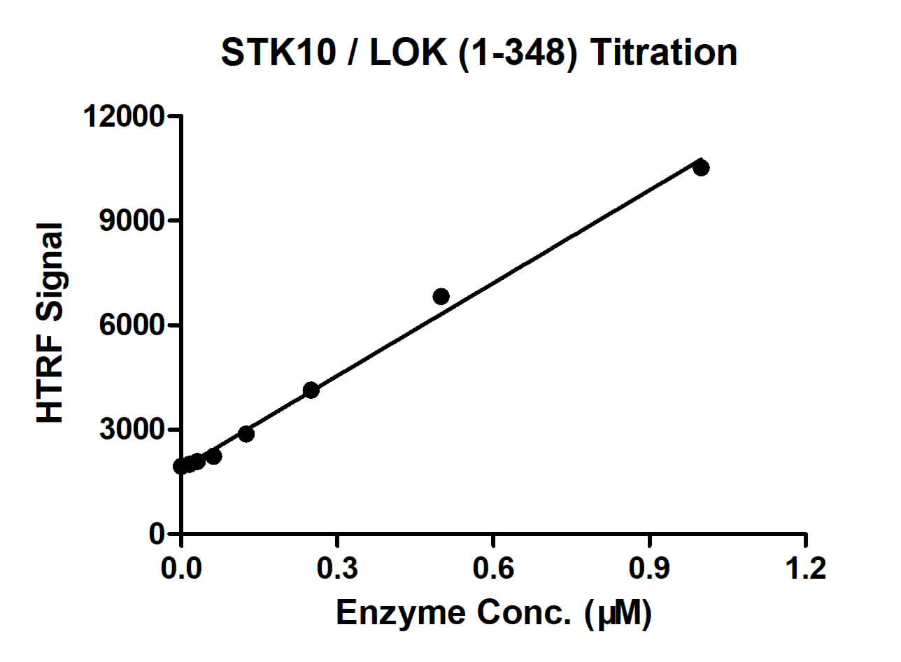 Recombinant STK10 / LOK (1-348) protein | Proteintech