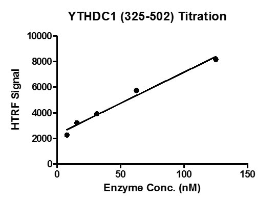 Recombinant YTHDC1 (325-502) protein | Proteintech