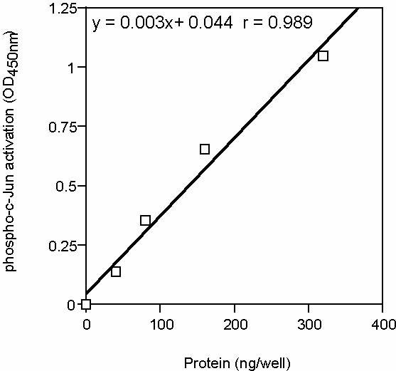 Recombinant c-Jun protein | Proteintech