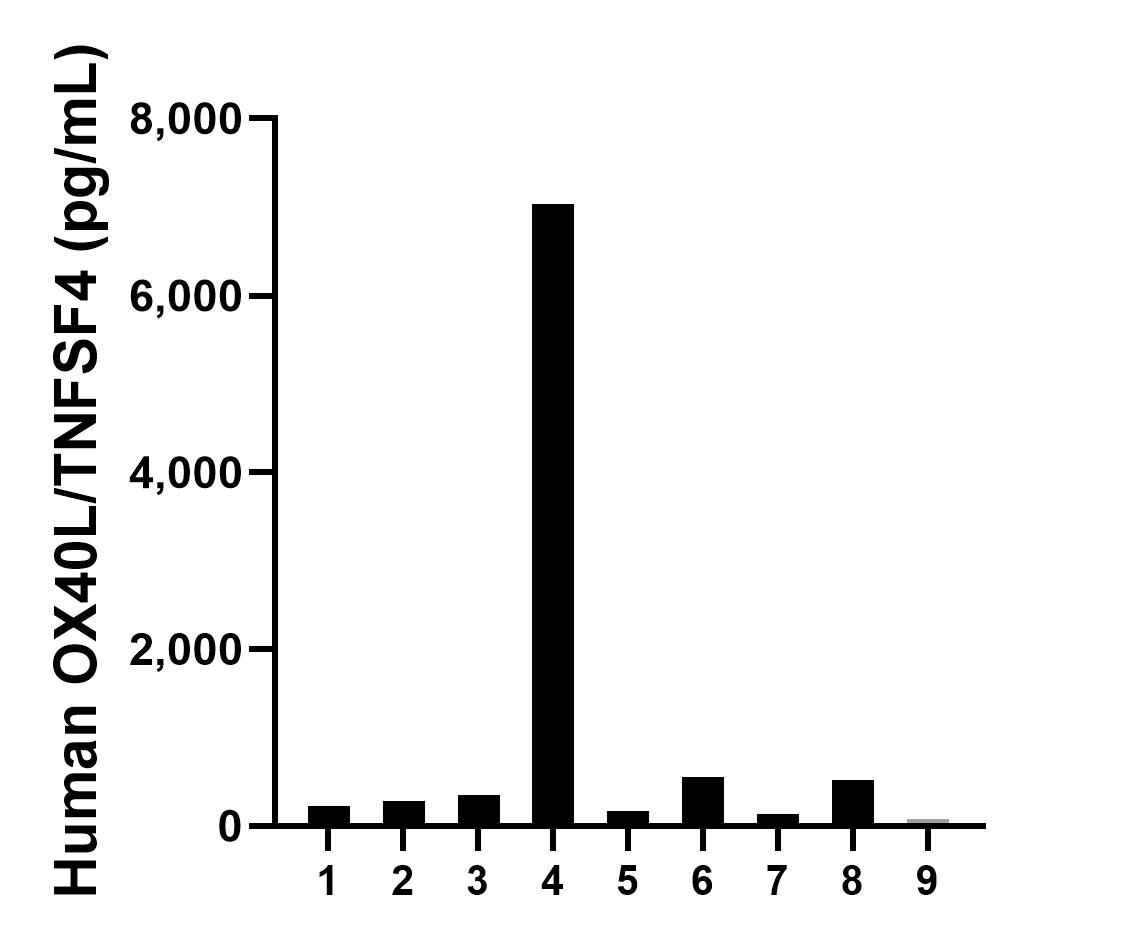 OX40L/TNFSF4 antibody (82794-5-PBS) | Proteintech