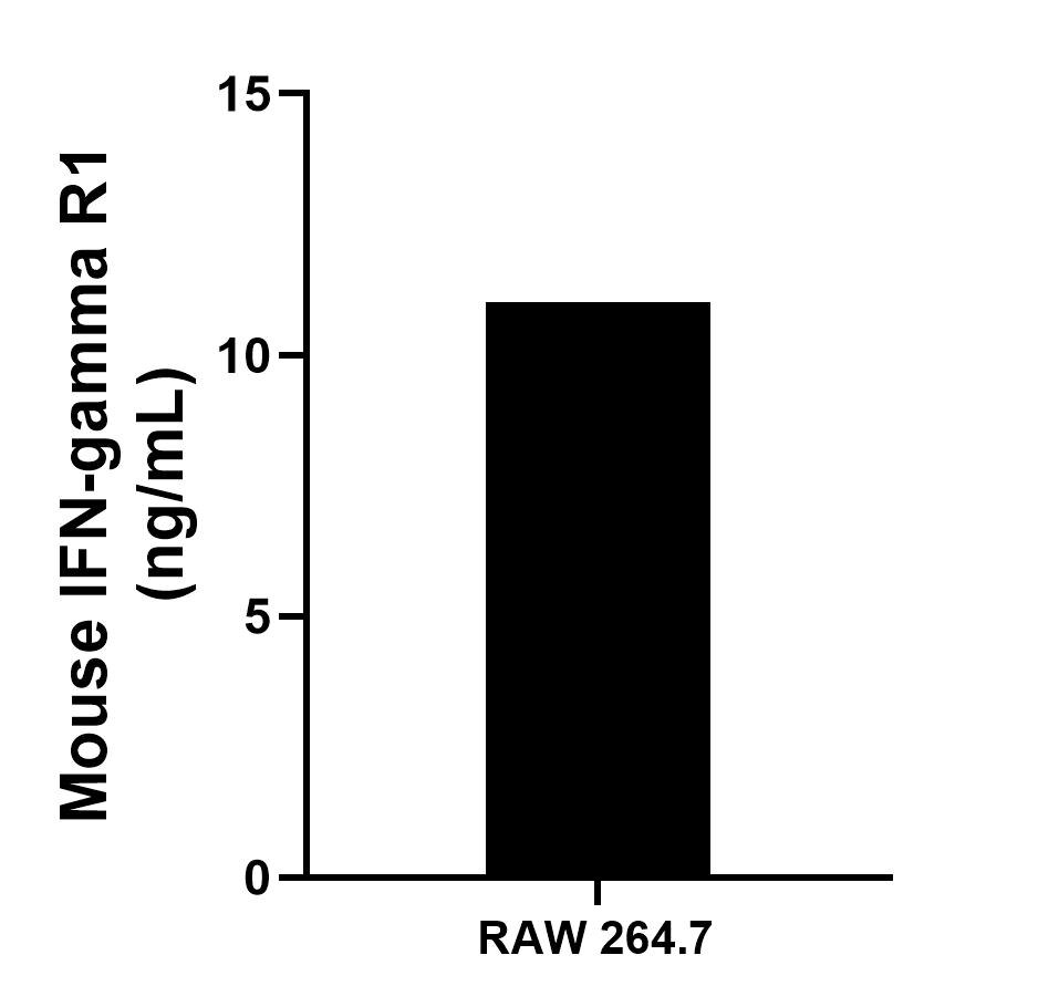 IFNGR1/CD119 antibody (84415-5-PBS) | Proteintech