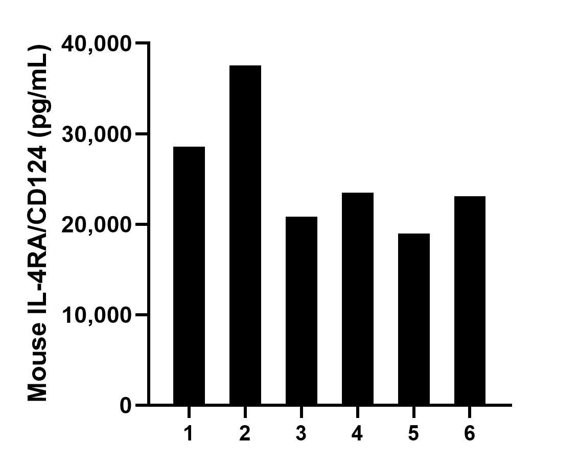 Mouse IL-4RA/CD124 Recombinant Matched Antibody Pair, PBS Only antibody (MP01540-3) | Proteintech