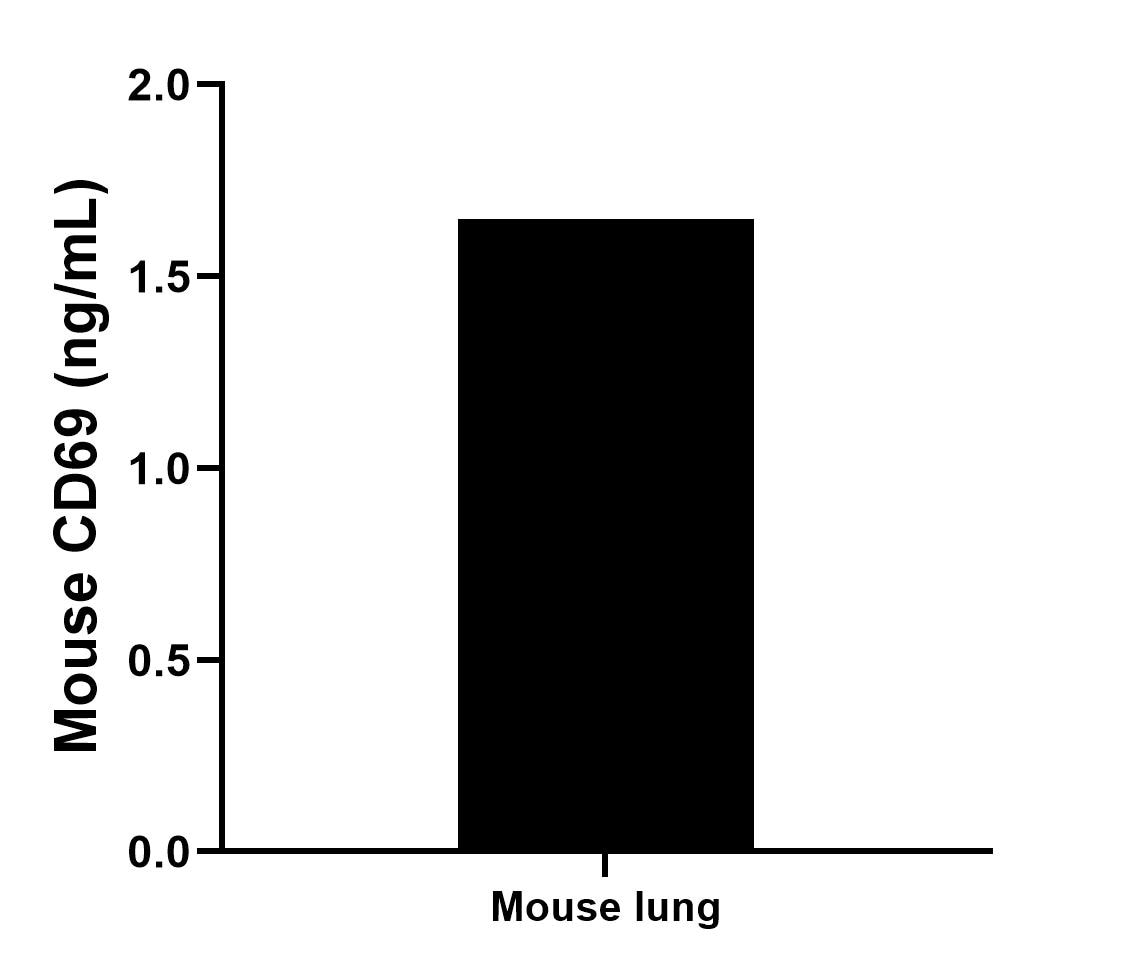 CD69 antibody (85925-2-PBS) | Proteintech