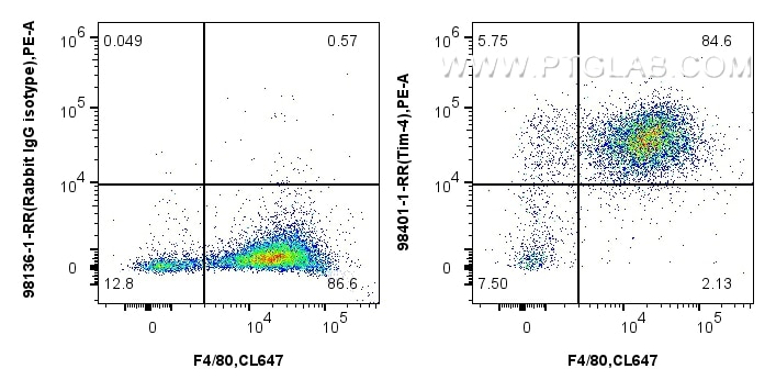 TIM4 antibody (98401-1-RR) | Proteintech