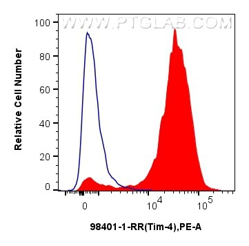 TIM4 antibody (98401-1-RR) | Proteintech