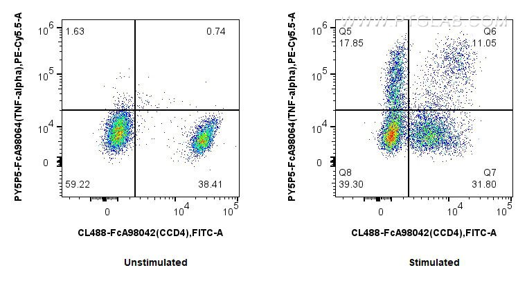 TNF-alpha antibody (PY5P5-FcA98064) | Proteintech