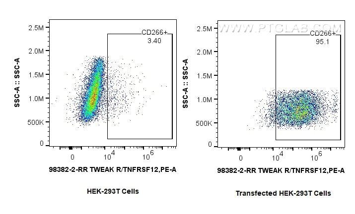 TWEAKR/CD266 antibody (98382-2-RR) | Proteintech